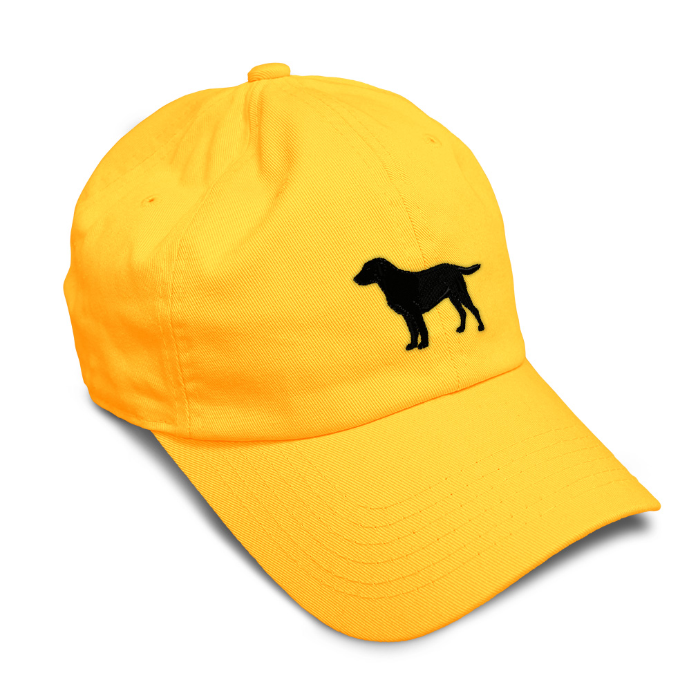 Soft Women Baseball Cap Black Labrador Retriever Lab Embroidery Dad ...